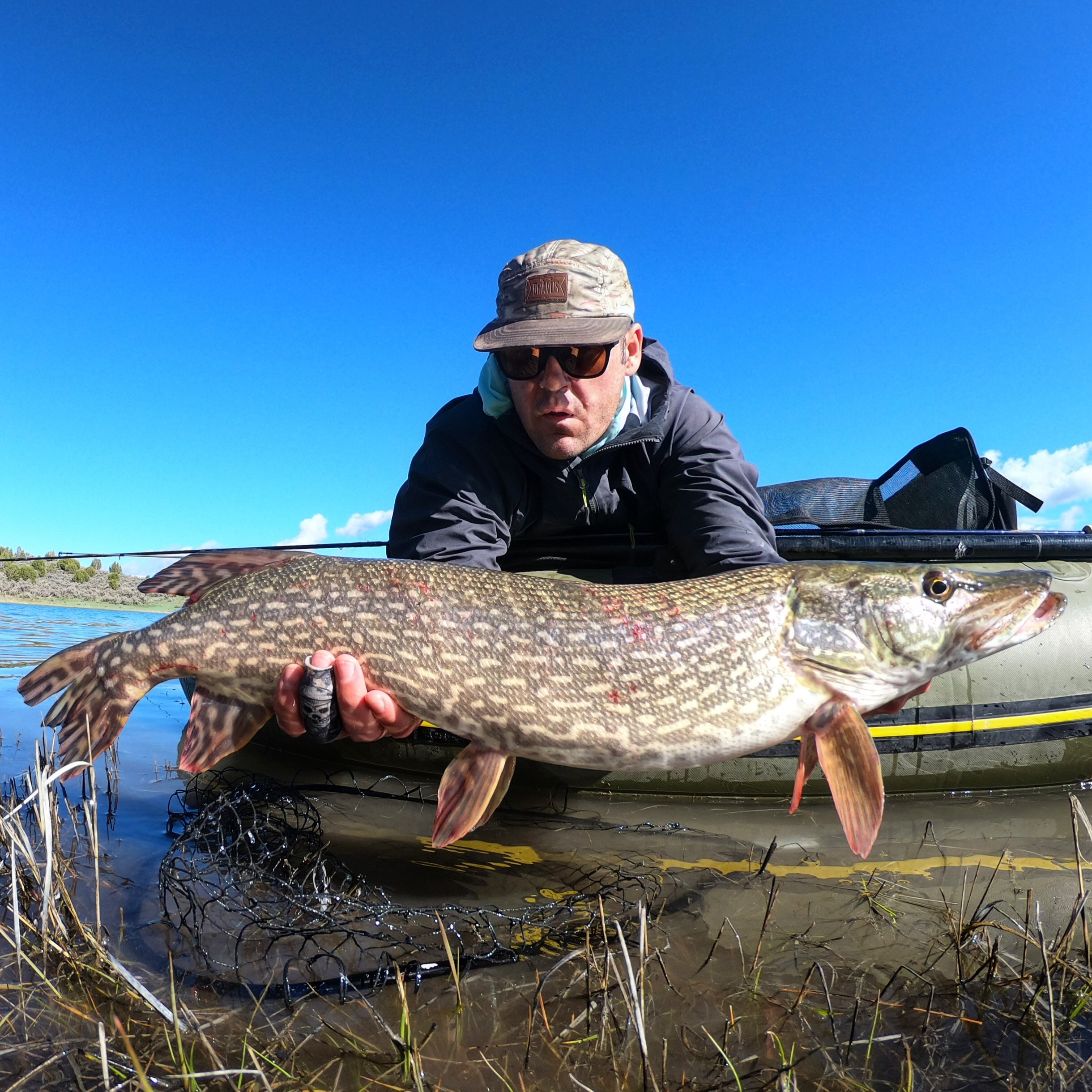 Tailwater vs. Freestone Rivers: How do they differ? - blog ...