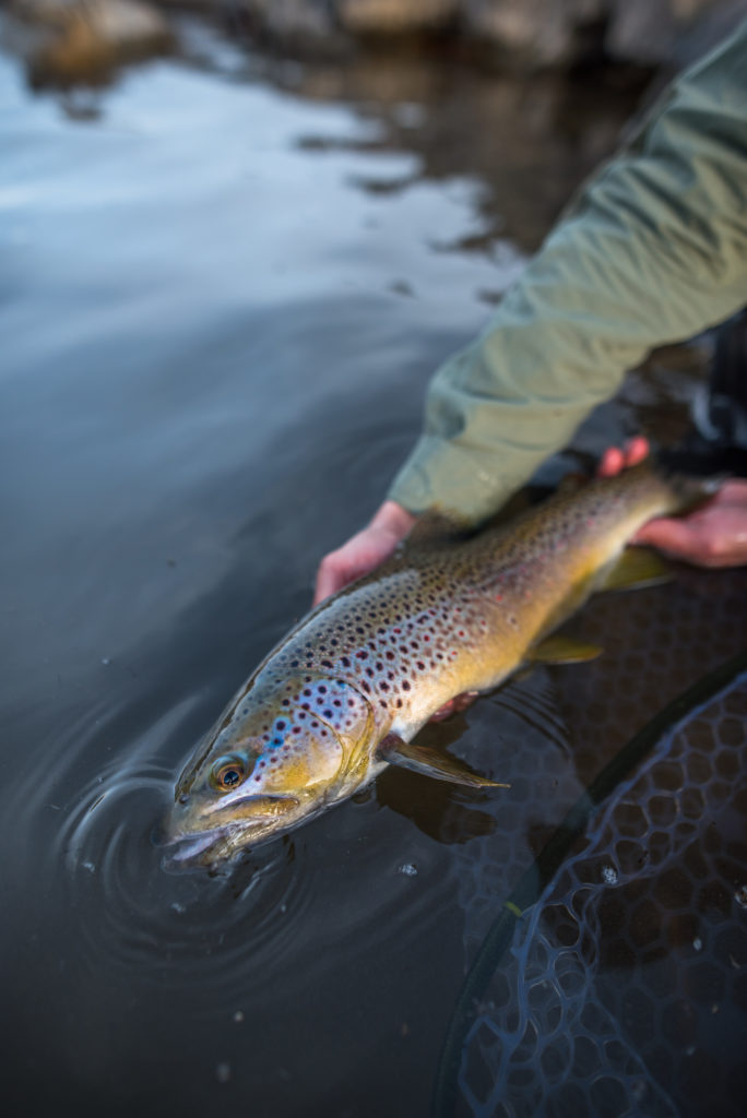 Float Fishing 101 - 10 Tips for Fly Fishing from a Raft or Driftboat ...